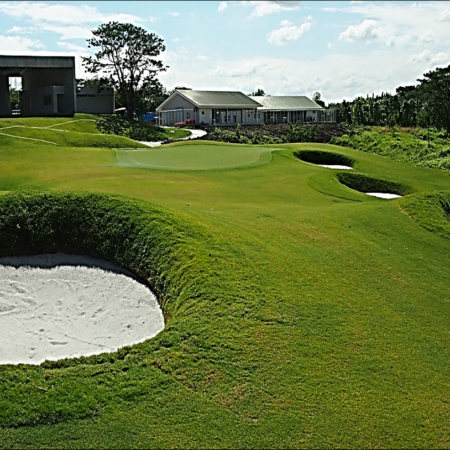 Services – Turfgrass Management, Inc. (TMI)