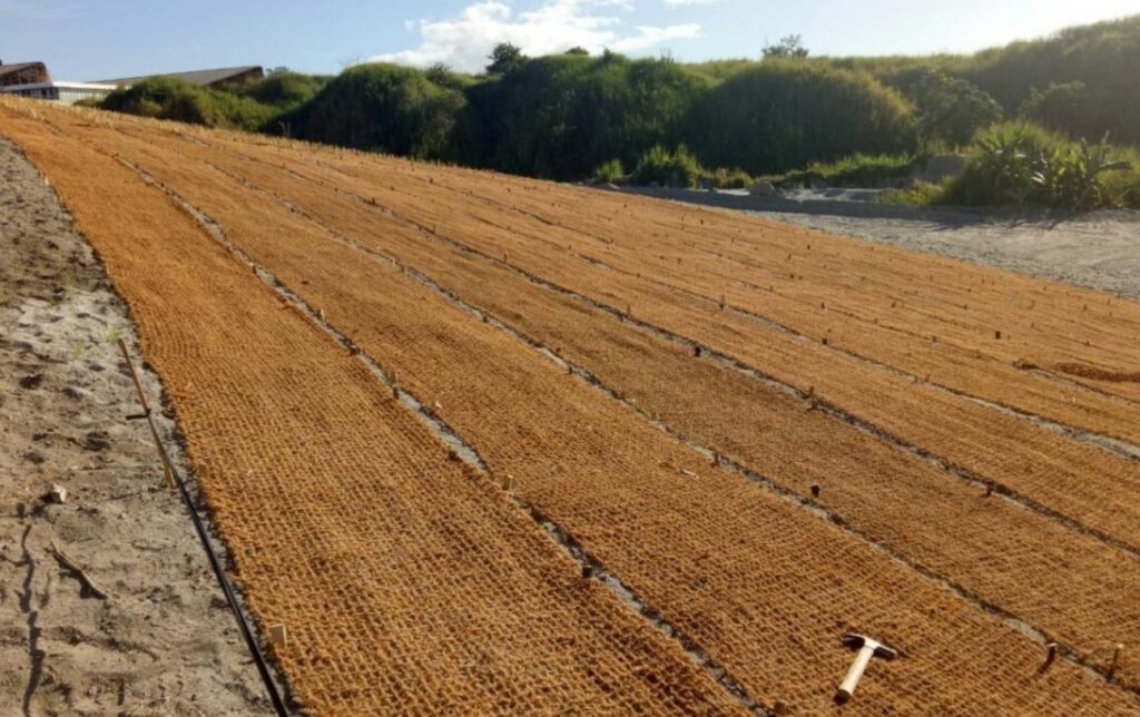 Turfgrass Management, Inc. (TMI) – Golf Construction and Maintenance