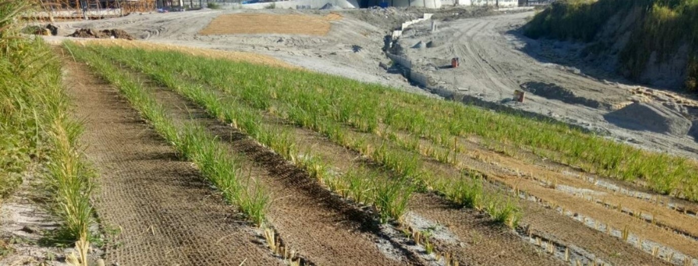 Turfgrass Management, Inc. (TMI) – Golf Construction and Maintenance