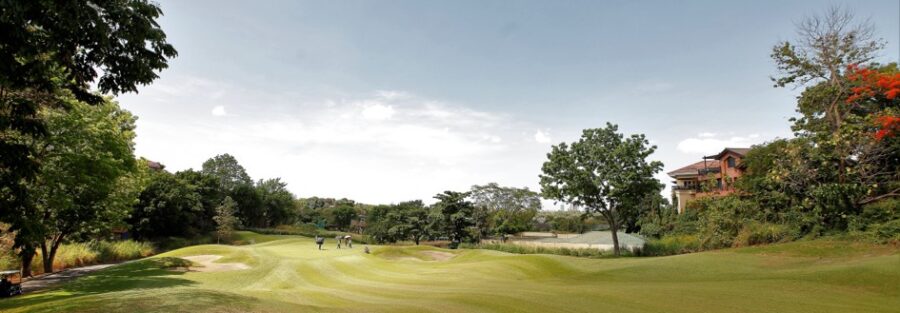 Contact – Turfgrass Management, Inc. (TMI)